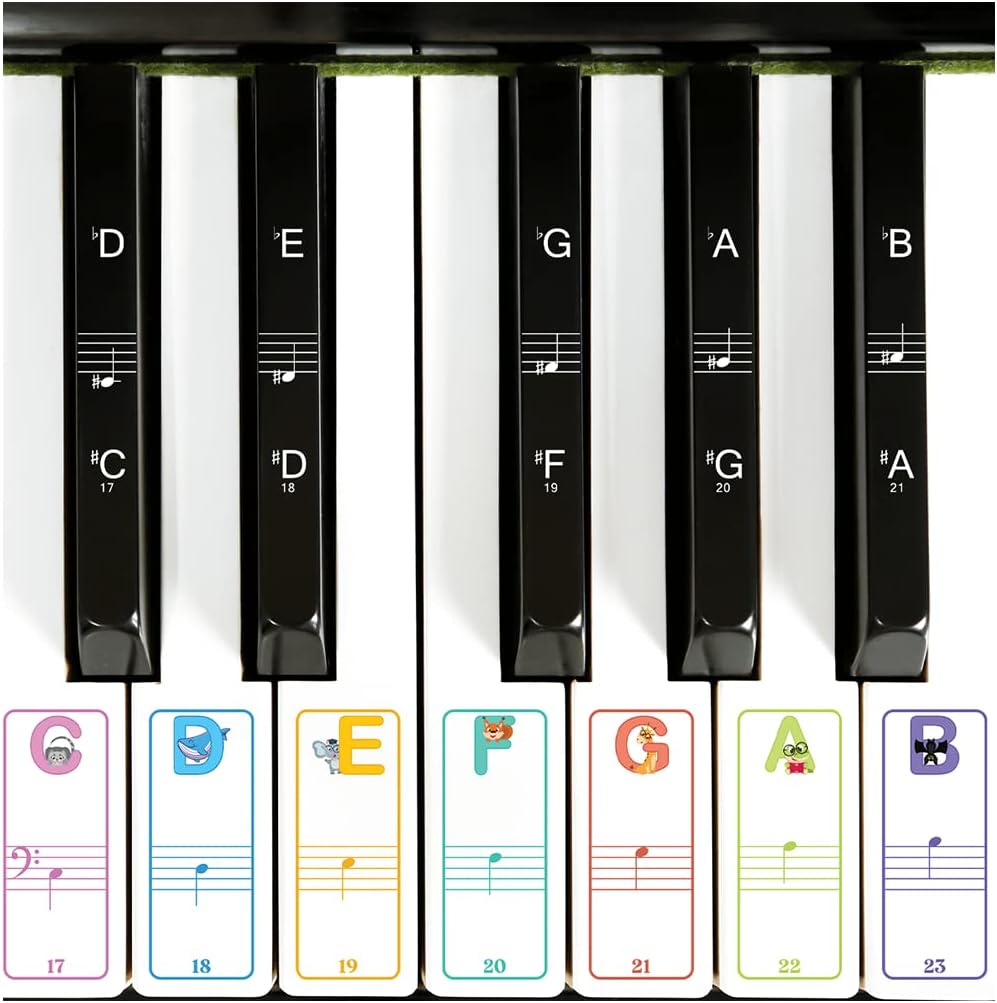 Amazon.com - GOLEEX Keyboard Piano Sticker 88 61 54 49 44 37 Keyboard ...