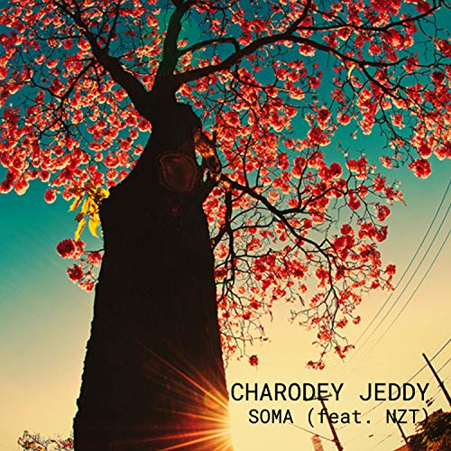 Amazon.co.jp: Soma (feat. NZT) : Charodey Jeddy: Digital Music