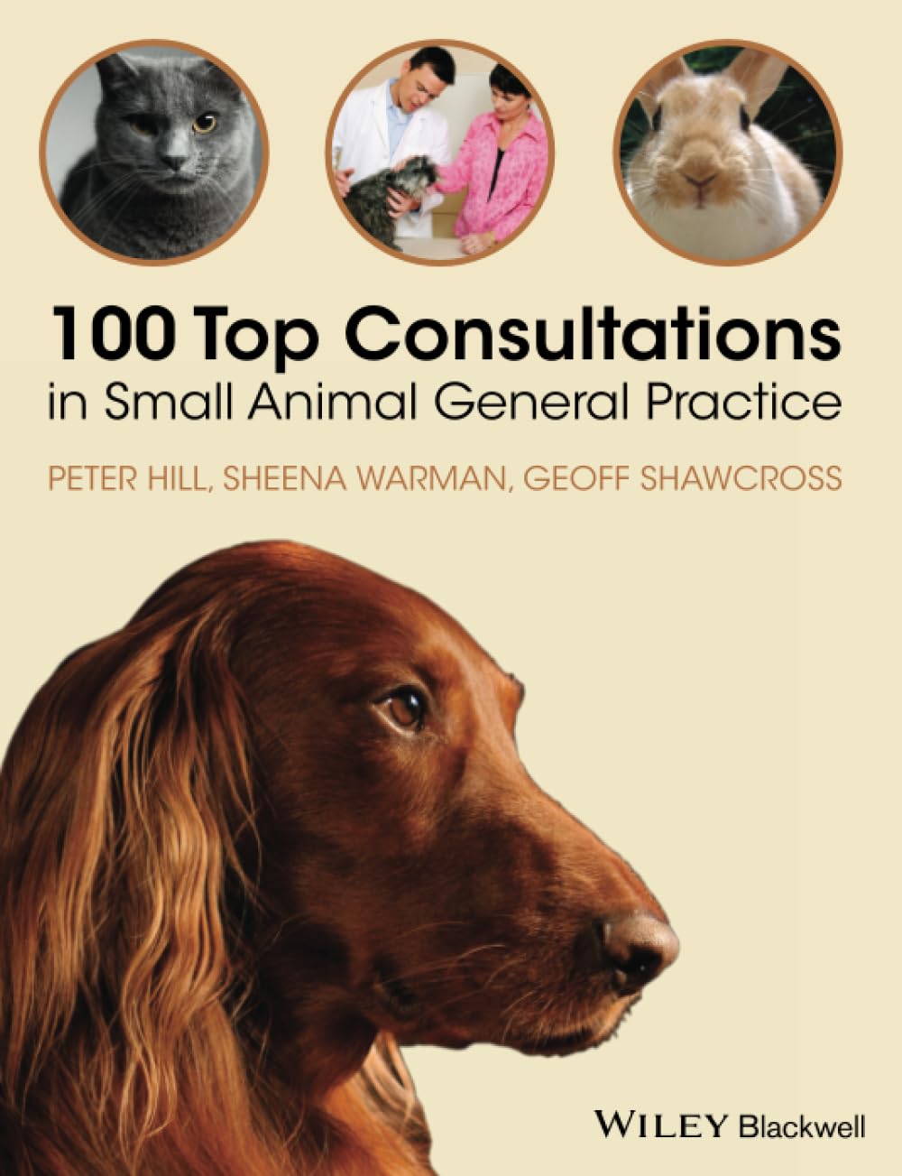 100 Top Consultations in Small Animal General Practice: Amazon.co.uk ...