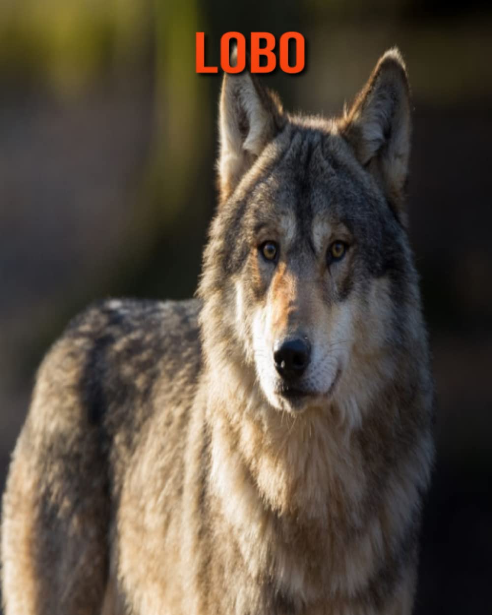 Buy Lobo: Libro para niños con imágenes hermosas y datos interesantes ...