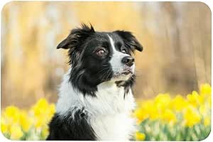 Amazon.com: Indoor Outdoor Area Rug, Bed Room, Living Room, Dining Room ...