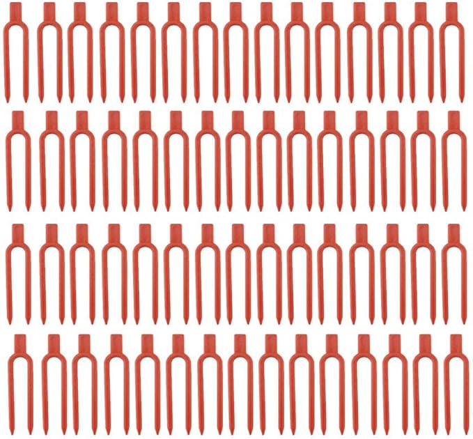 Amazon.com : Noraling 100pcs Plastic Gardening Plant pin Strawberry ...