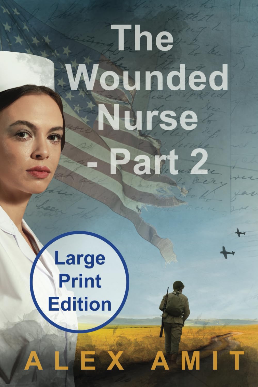 Amazon.com: The Wounded Nurse – Part 2: Large Print Edition (WW2 Girls ...