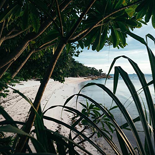 Amazon.com: Smart Summer Days : Mellow Jazz Playlist: Digital Music