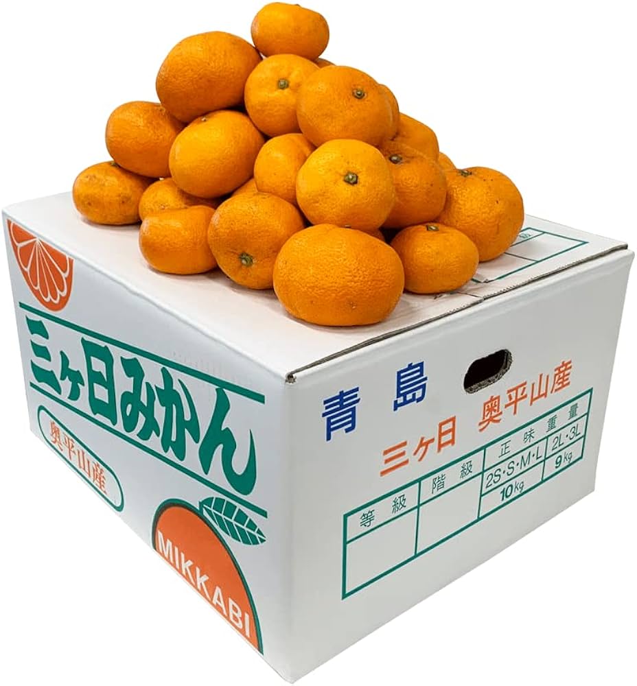 みかん 青島みかん 優品 2Lサイズ 7kg JAみっかび 産地直送 三ヶ日ミカン