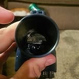 Amazon.com - EUREKA Portable Carpet and Upholstery Cleaner, Spot ...