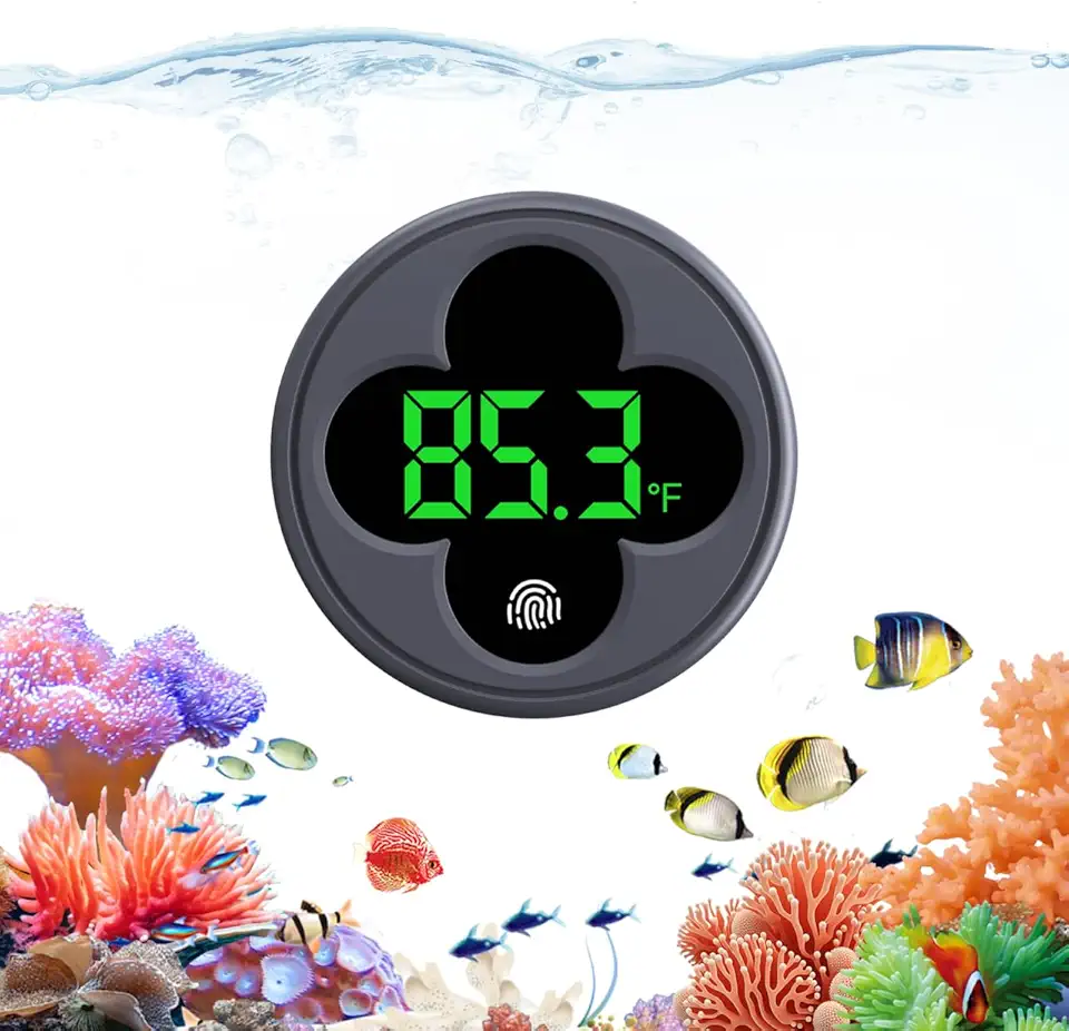 The Ideal Temperature Range For Aquarium Fish: A Comprehensive Chart ...