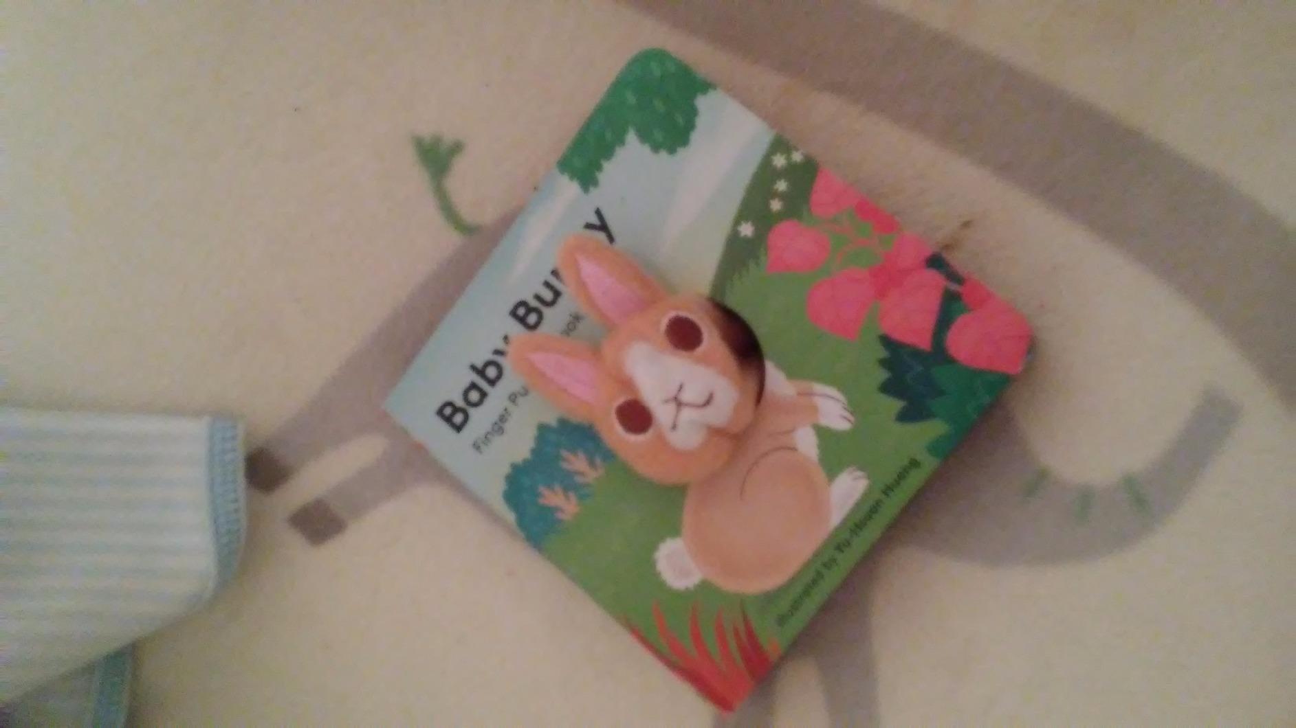 Baby Bunny: Finger Puppet Book: (Finger Puppet Book for Toddlers and ...