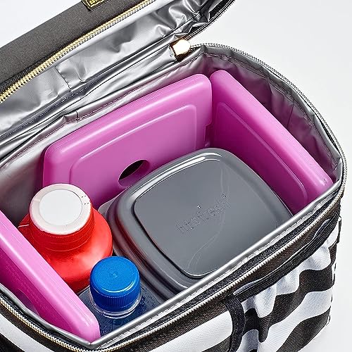 The 5 Best Fit & Fresh Coolers of 2025 [Verified] - Cherry Picks