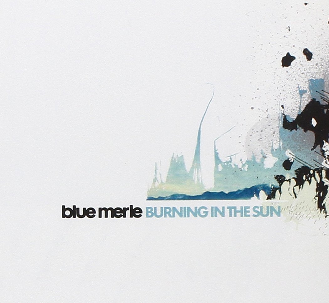 Amazon.com: Burning In The Sun: CDs & Vinyl