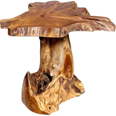Brillibrum Design Wurzelholzhocker Teakholz Baumstamm Hocker aus einem ...