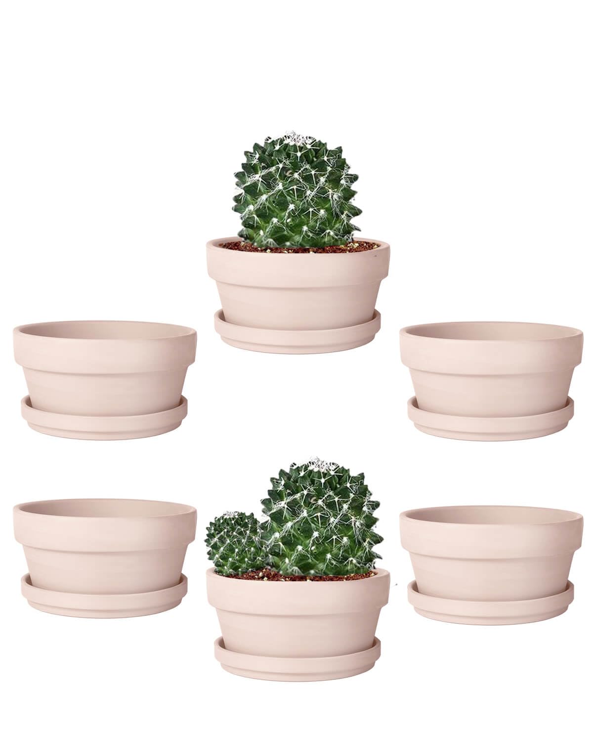 Amazon.com: vensovo 5.7 Inch Pink Terracotta Shallow Succulent Pot - 6 ...