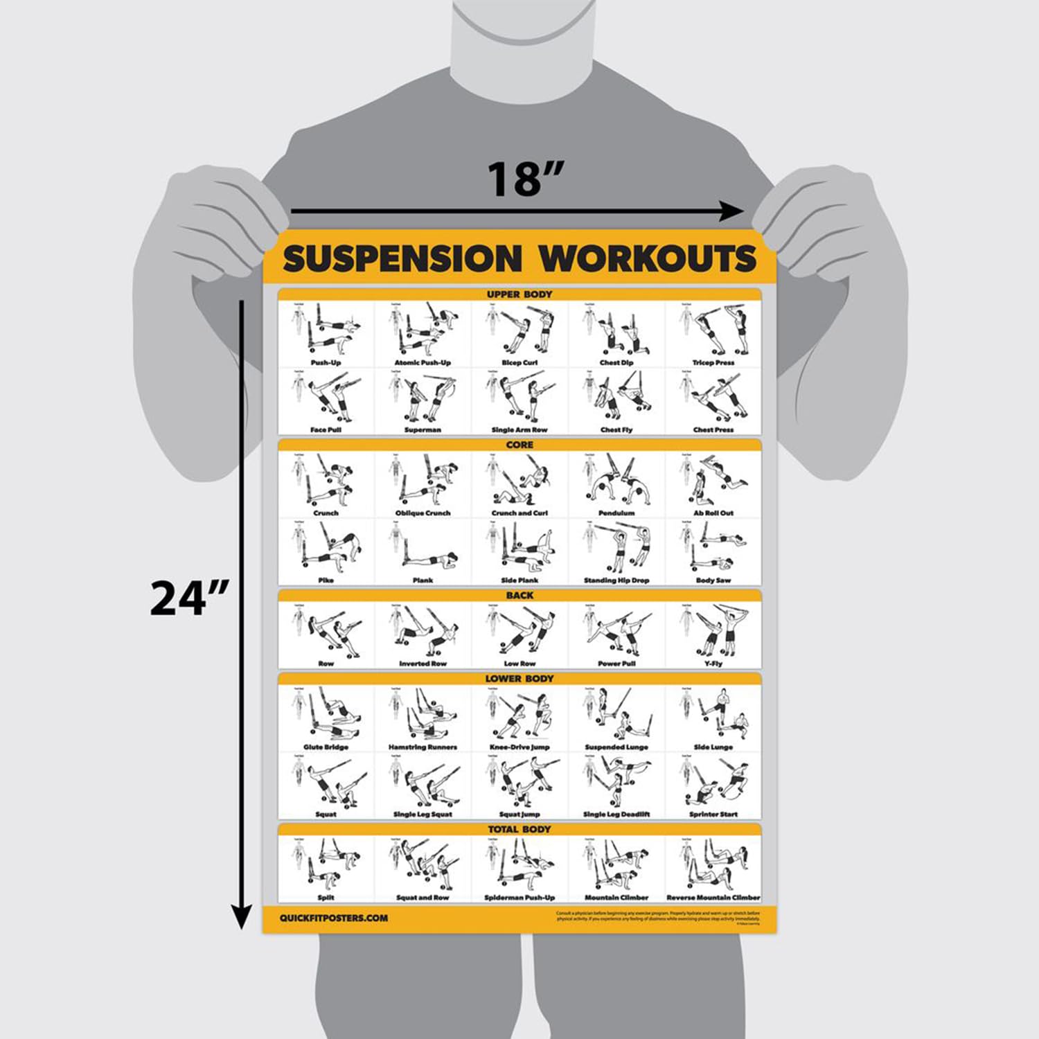 Snapklik.com : Palace Learning QUICKFIT Suspension Workout Exercise Poster