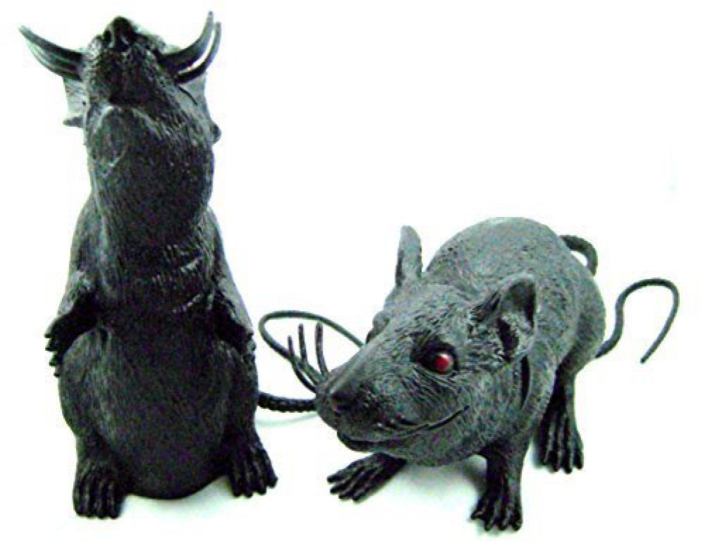 Amazon.com: Graveyard Rat Spooky Halloween Plastic Squeaking Rats 8 - 9 ...