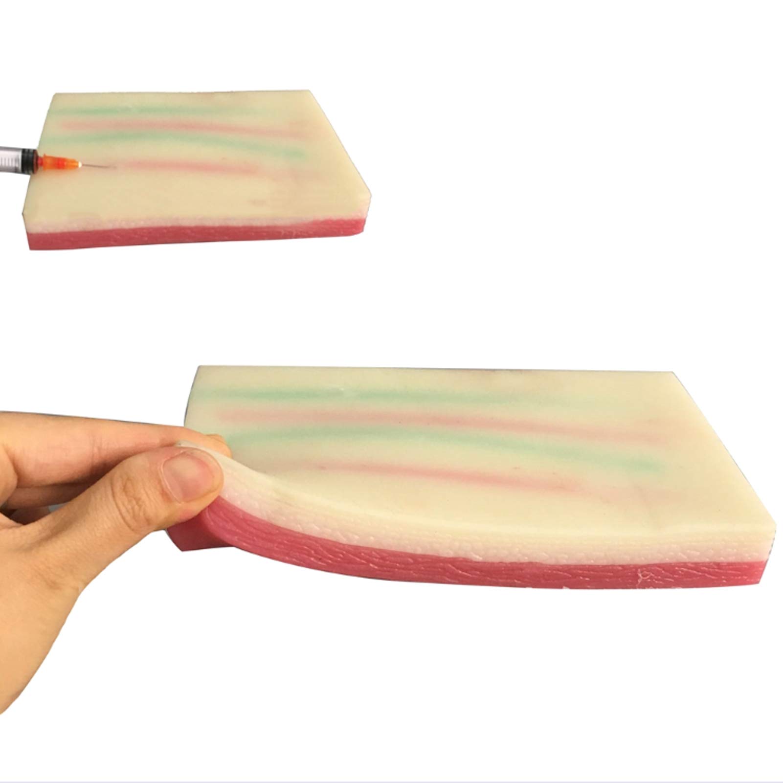 Buy JL IV Injection Training Pad Model, 4 Veins Imbedded Skin Layer ...