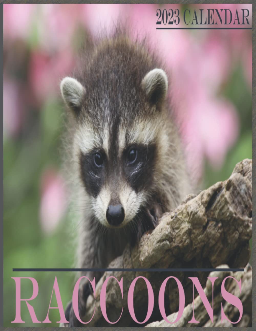 Raccoons 2023 Calendar 16 Month Calendar From January 2023 To ...