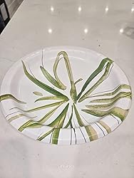 Amazon.com: Amazon Basics Everyday Paper Plates, 8 5/8 Inch, Disposable ...