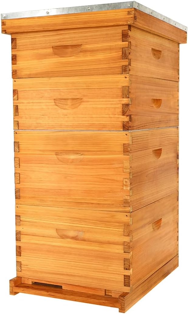 Amazon.com : POLLIBEE Bee Hive Starter Kit, 10 Frame Bee Hives,Hive ...