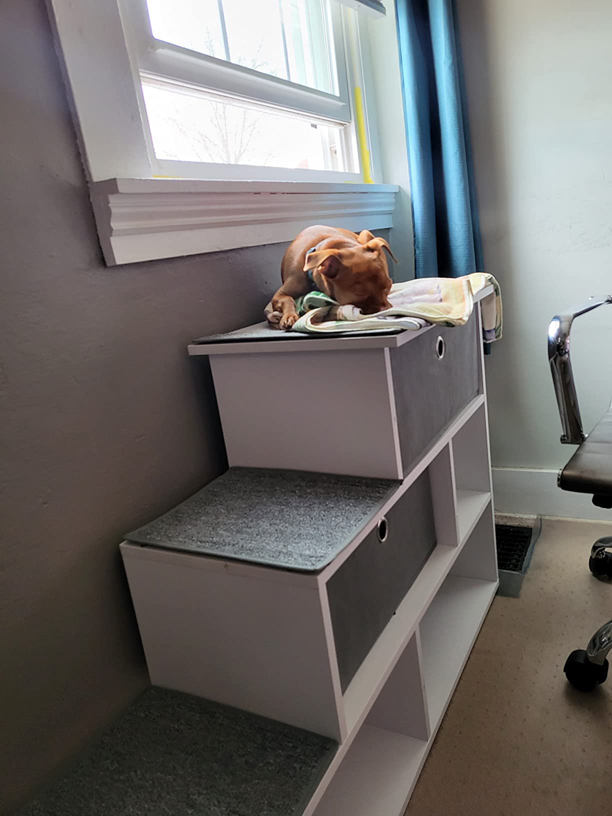 $21/mo - Finance PetFusion Pet Step Window Perch Bookshelf w/ Storage ...