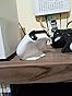 Amazon.com: Controller Gear Xbox One Controller Stand v2.0, Licensed ...