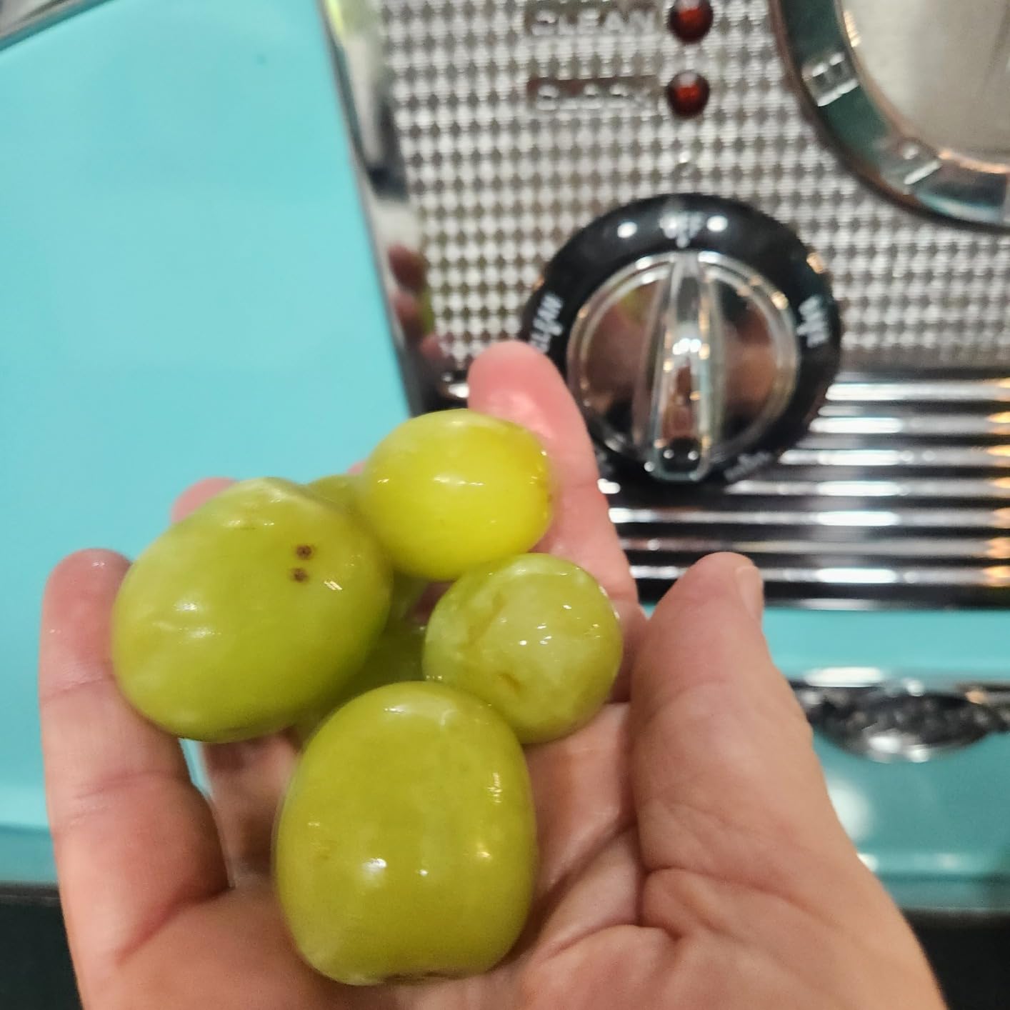 Amazon.com: Green Seedless Grapes, 3 Lb : Everything Else