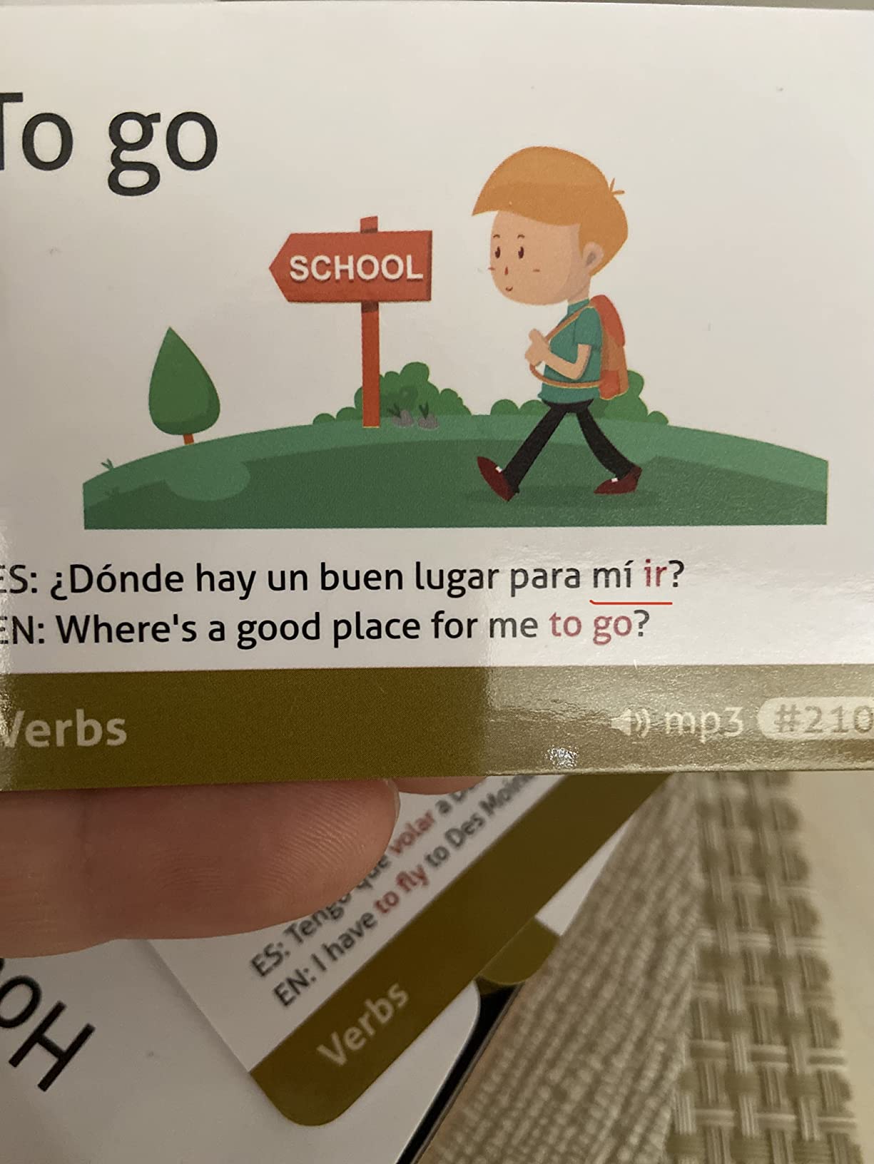 Amazon.com: CARDDIA Spanish Vocabulary Flash Cards for Beginners (218 ...