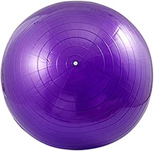 Amazon.com: MOTUZP Exercise Ball Yoga Ball Large Gym Grade Birthing ...