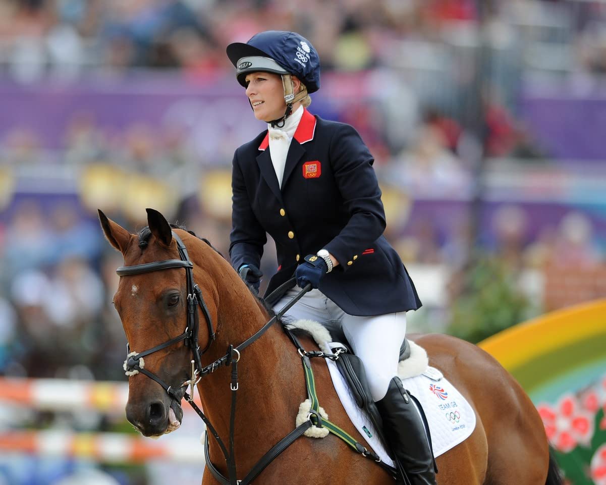 Olympic Jumper Horses