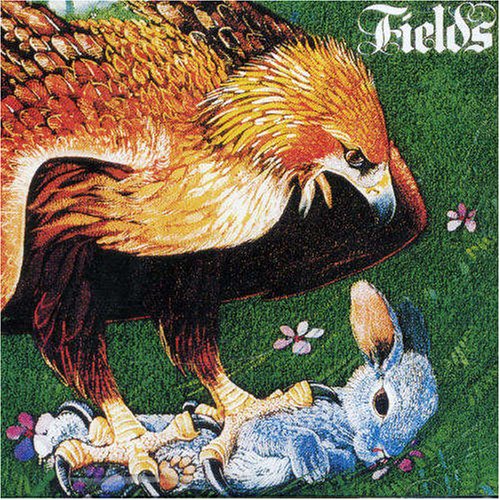 Fields - Fields - Amazon.com Music