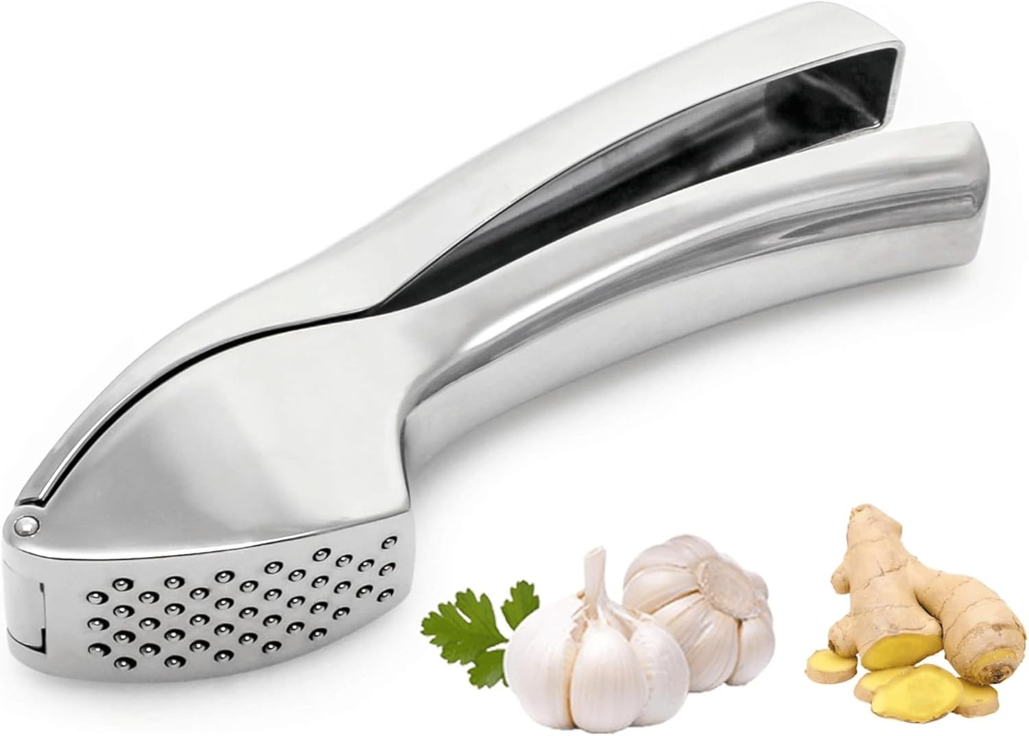 Amazon.com: AN'ANA Stylish Garlic Press - Easy to Use Stainless Steel ...