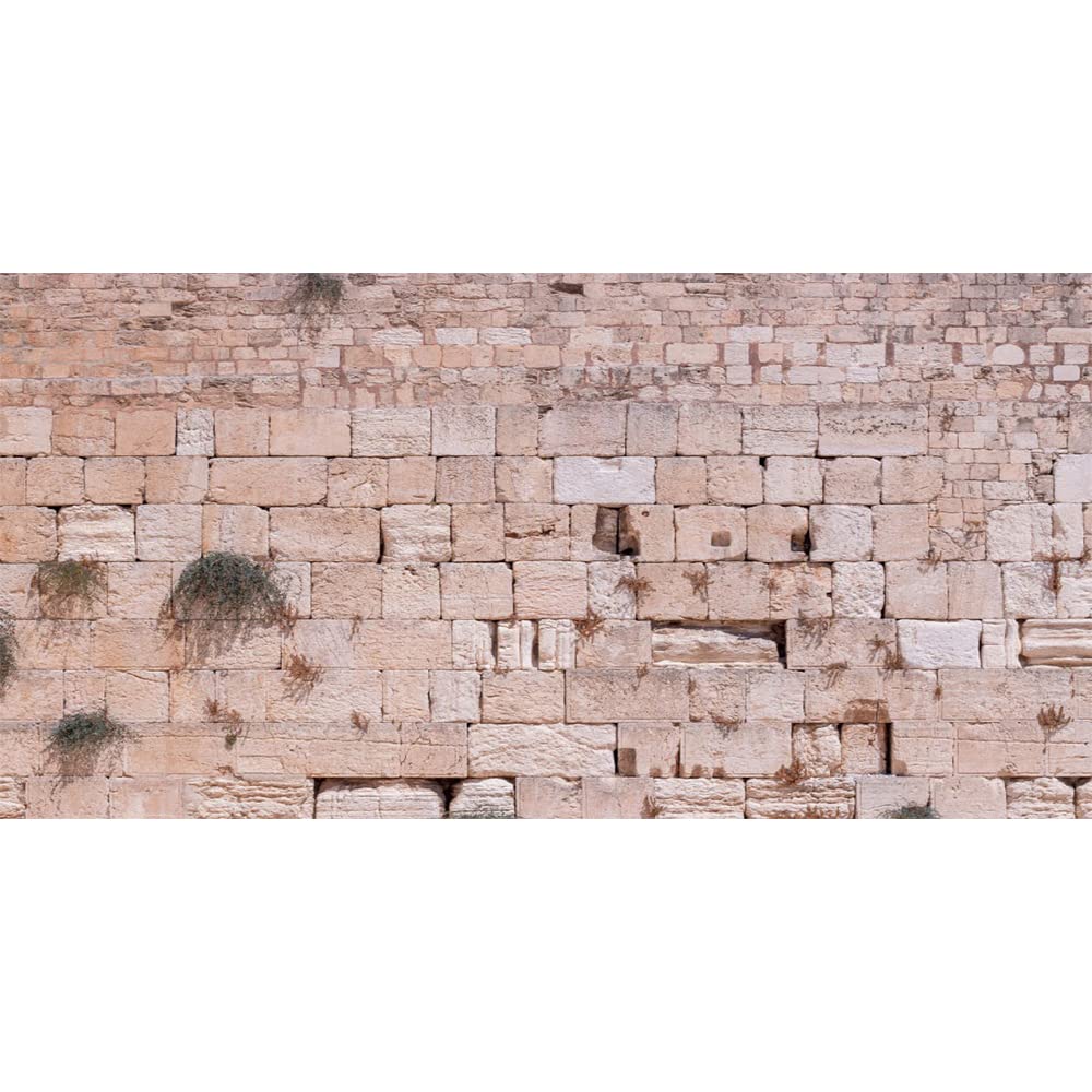 Amazon.com : CSFOTO 20x10ft Western Wall Backdrop Jerusalem Photo ...