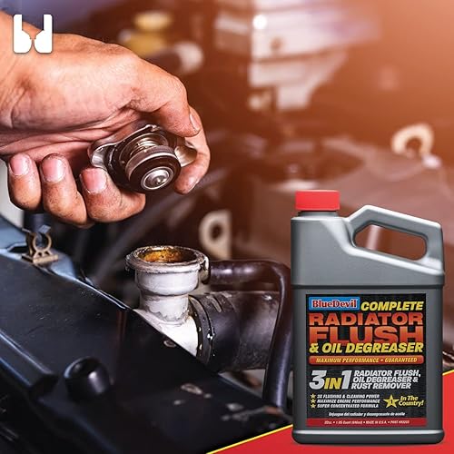 Snapklik.com : BlueDevil Products 00203 Radiator Flush & Oil Degreaser