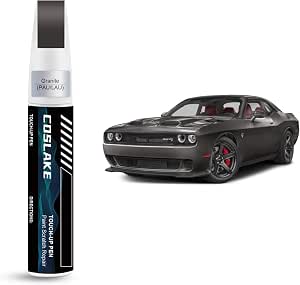 Amazon.com: COSLAKE Car Touch Up Paint(Granite(PAU/LAU)) for Dodge, Car ...