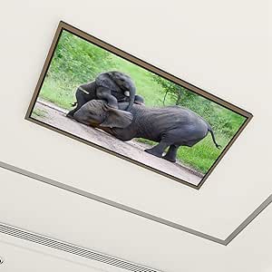 ZKFETPVOW Decorative Fluorescent Light Covers for Ceiling Lights 6 ...