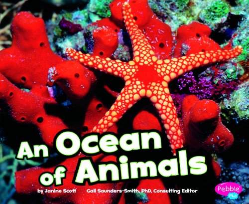 An Ocean of Animals (Habitats around the World): Scott, Janine ...
