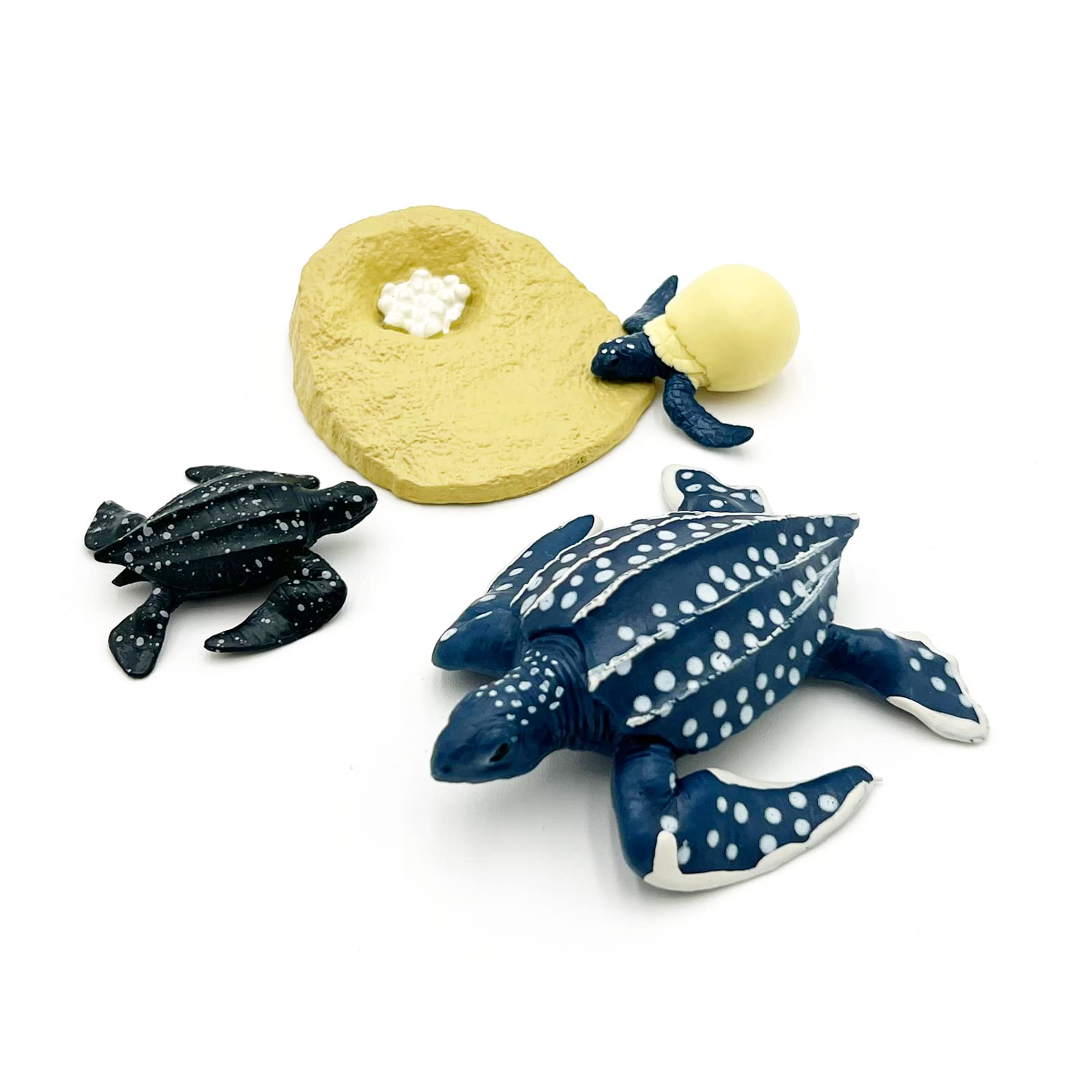 Snapklik.com : Momoplay Leatherback Turtle Life Cycle Set - Marine ...