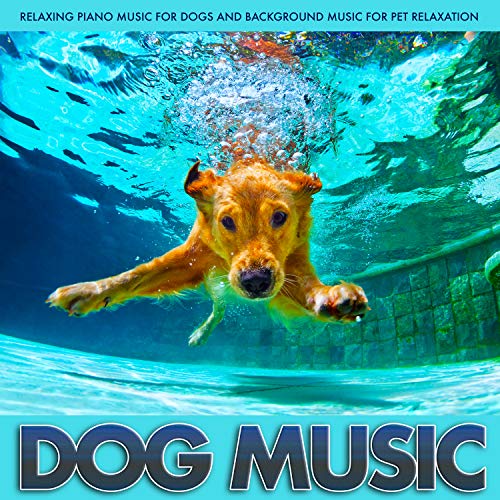Amazon.com: Dog Music: Relaxing Piano Music For Dogs and Background ...