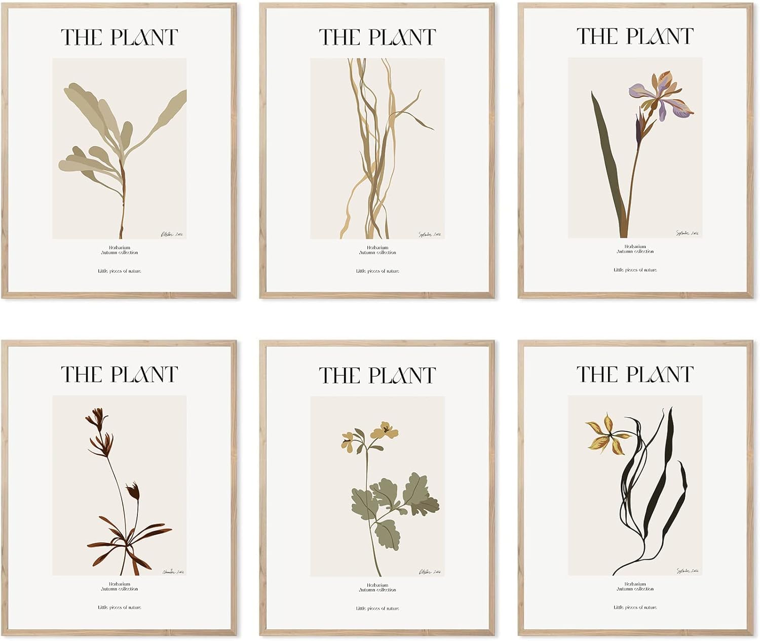 Amazon.com: Botanical Prints for Wall Decor Poster Canvas Prints Set of ...