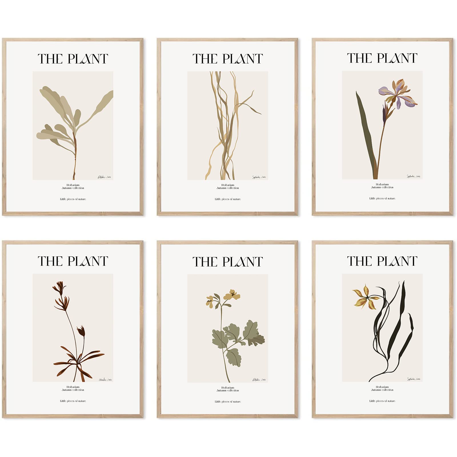 Amazon.com: Botanical Prints for Wall Decor Poster Canvas Prints Set of 6 Boho Wall Art Prints ...