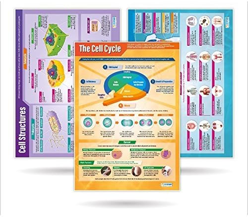 Amazon.com: Biology Poster Set| Set of 13 Science Educational Charts ...