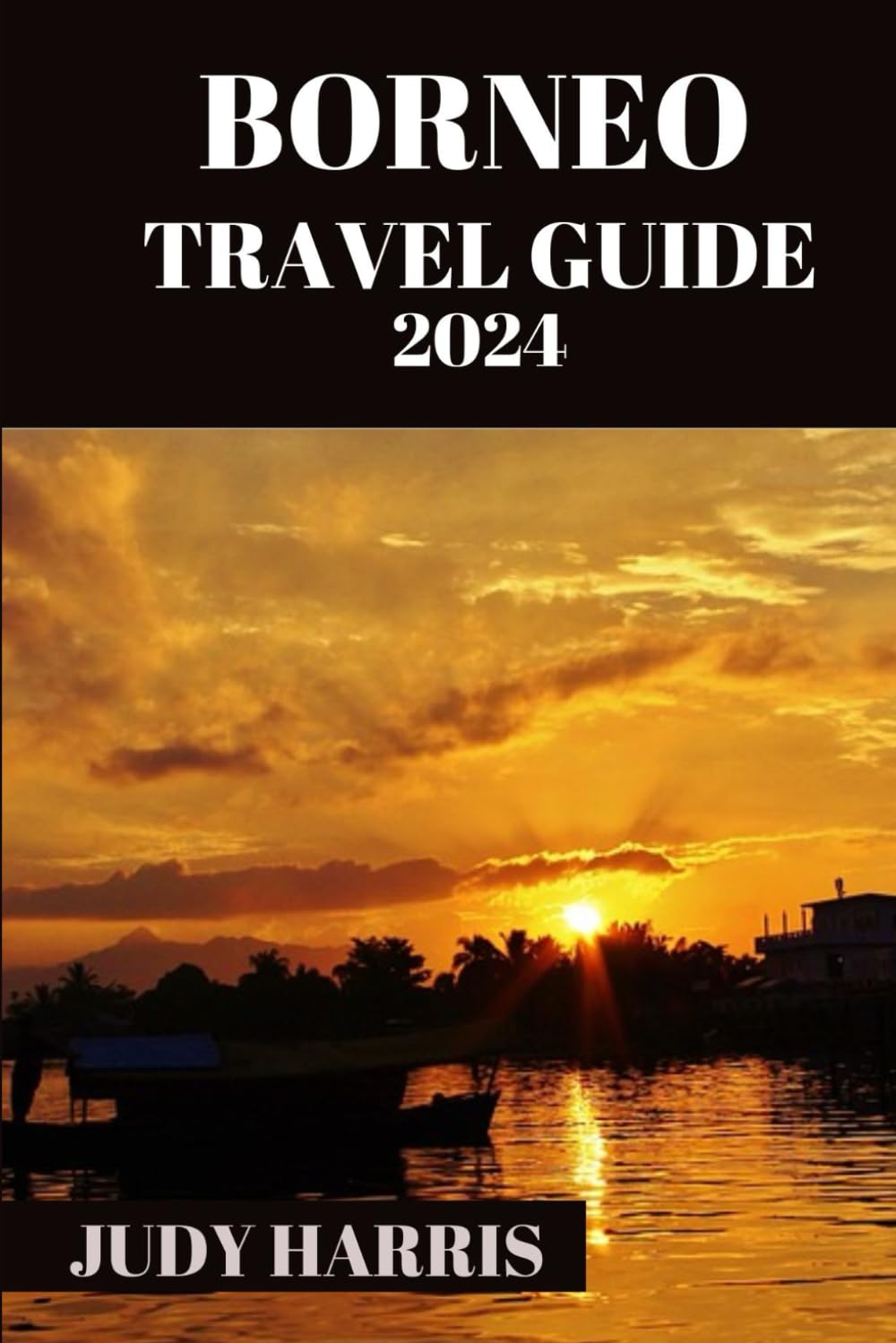BORNEO TRAVEL GUIDE 2024: The essential information you need to know ...