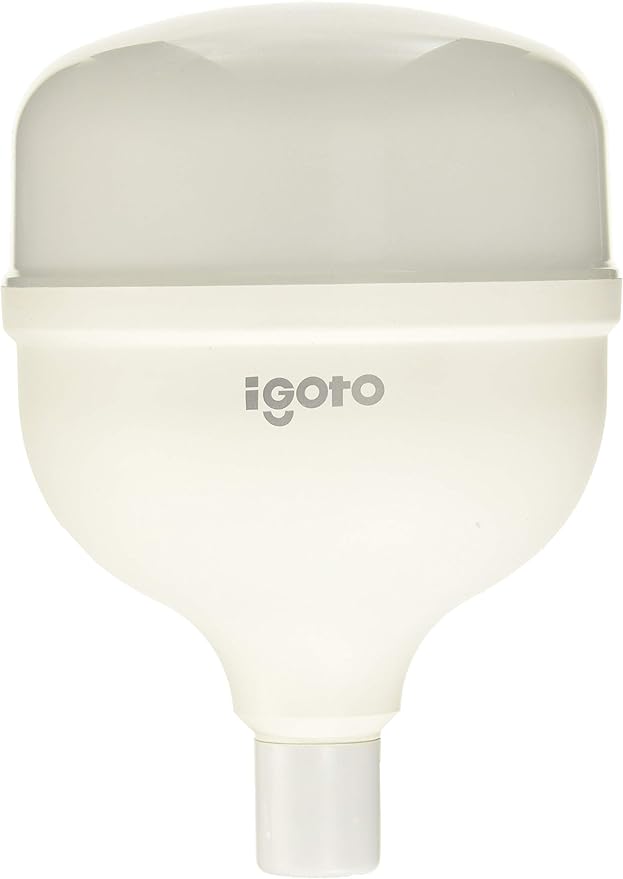 Igoto F10550 Foco De LED, 50W Luz Fría Multivoltaje : Amazon.com.mx ...