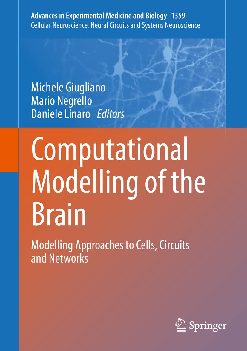 Buy Computational Modelling of the Brain: Modelling Approaches to Cells ...