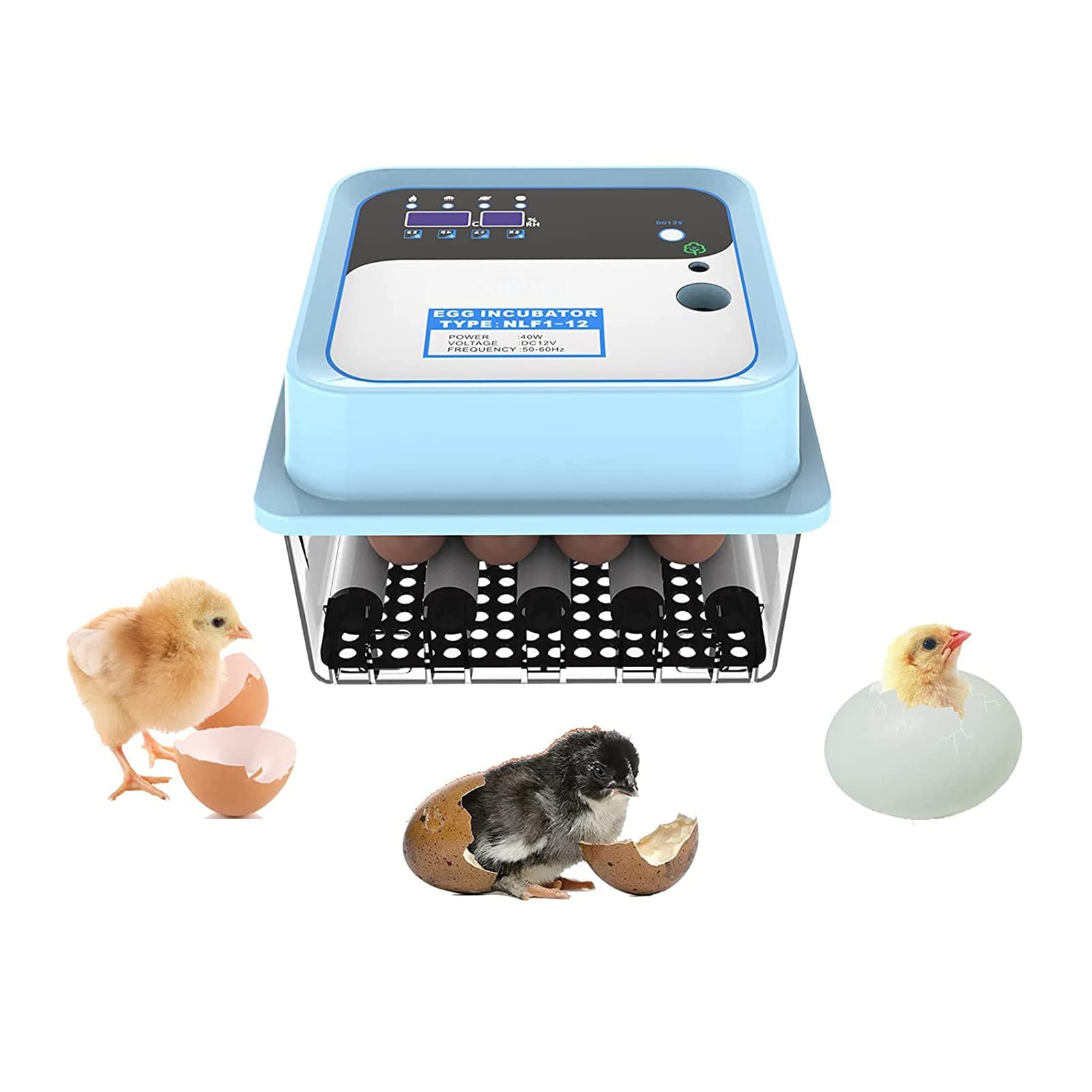 Buy Automatic Egg Incubator Brooder Hatching 6/9/12 Eggs Temperature ...