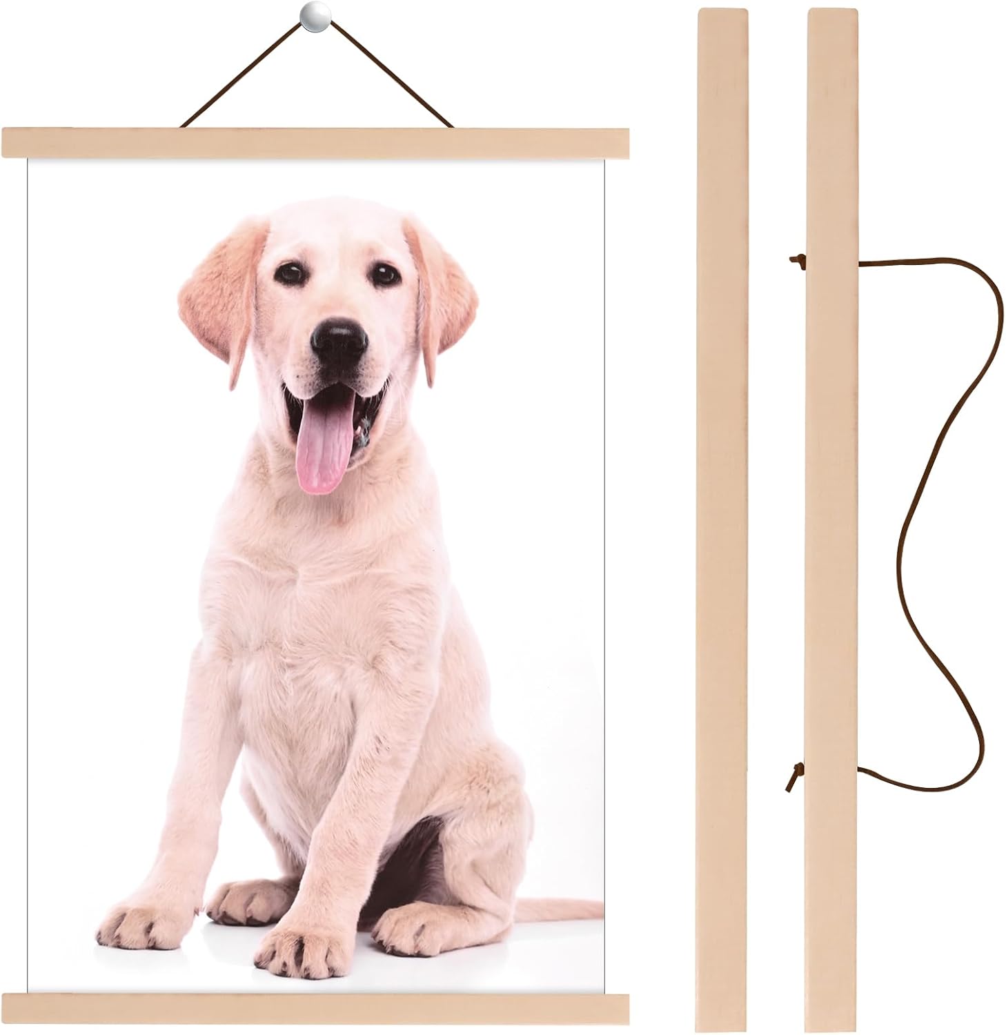 Amazon.com: Ecavboc Custom Photo Magnetic Poster Hanger Frame ...