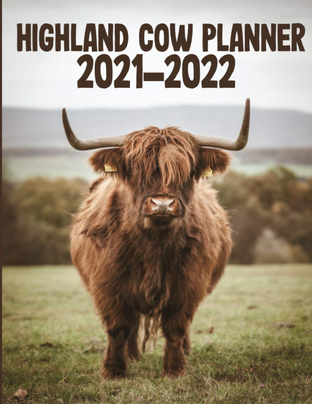 Buy Highland Cow Planner 2021-2022: Daily , Weekly , Monthly , Two ...