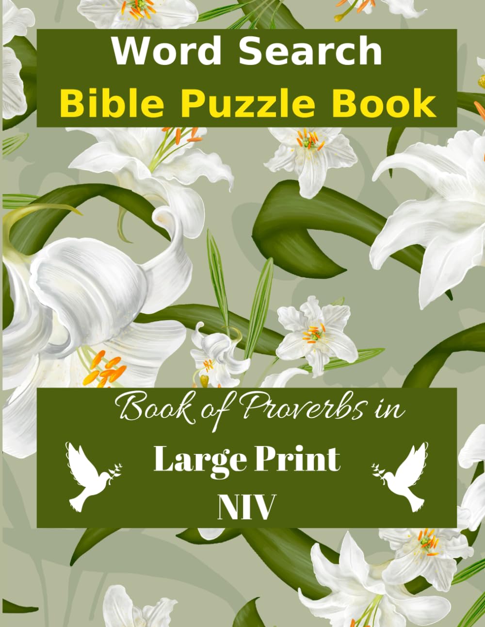 Word Search Bible Puzzle Book: Book of Proverbs in Large Print NIV ...