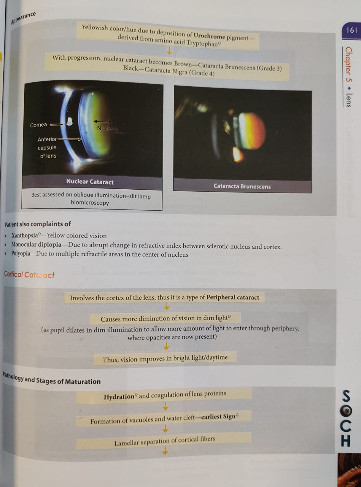 Buy SOCH (Simplified Ophthalmology Conceptual Handbook) 5th Ed. (PB ...