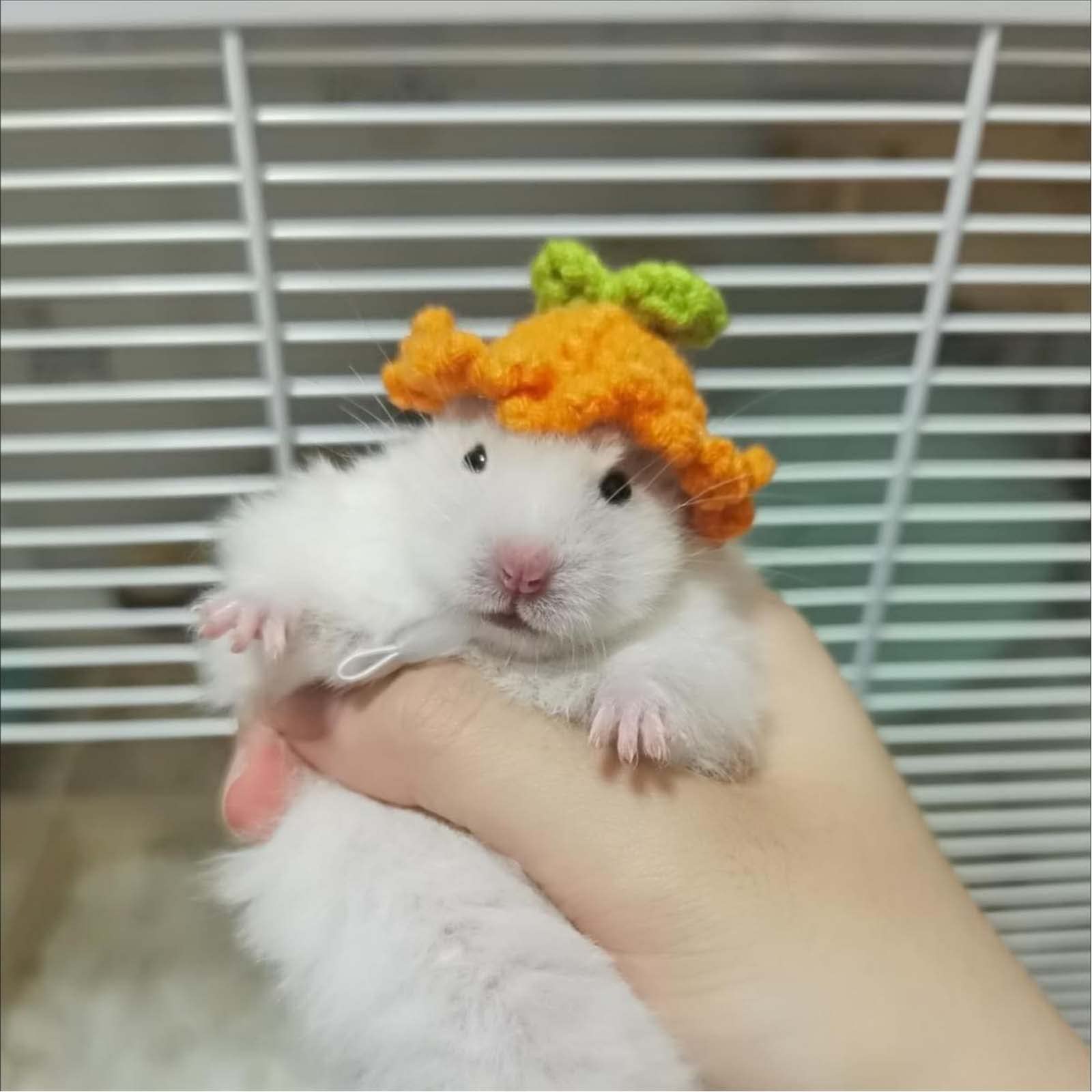 Hamster Christmas Mini Hamster Hat Hand Knitted Small Animals Hat With ...