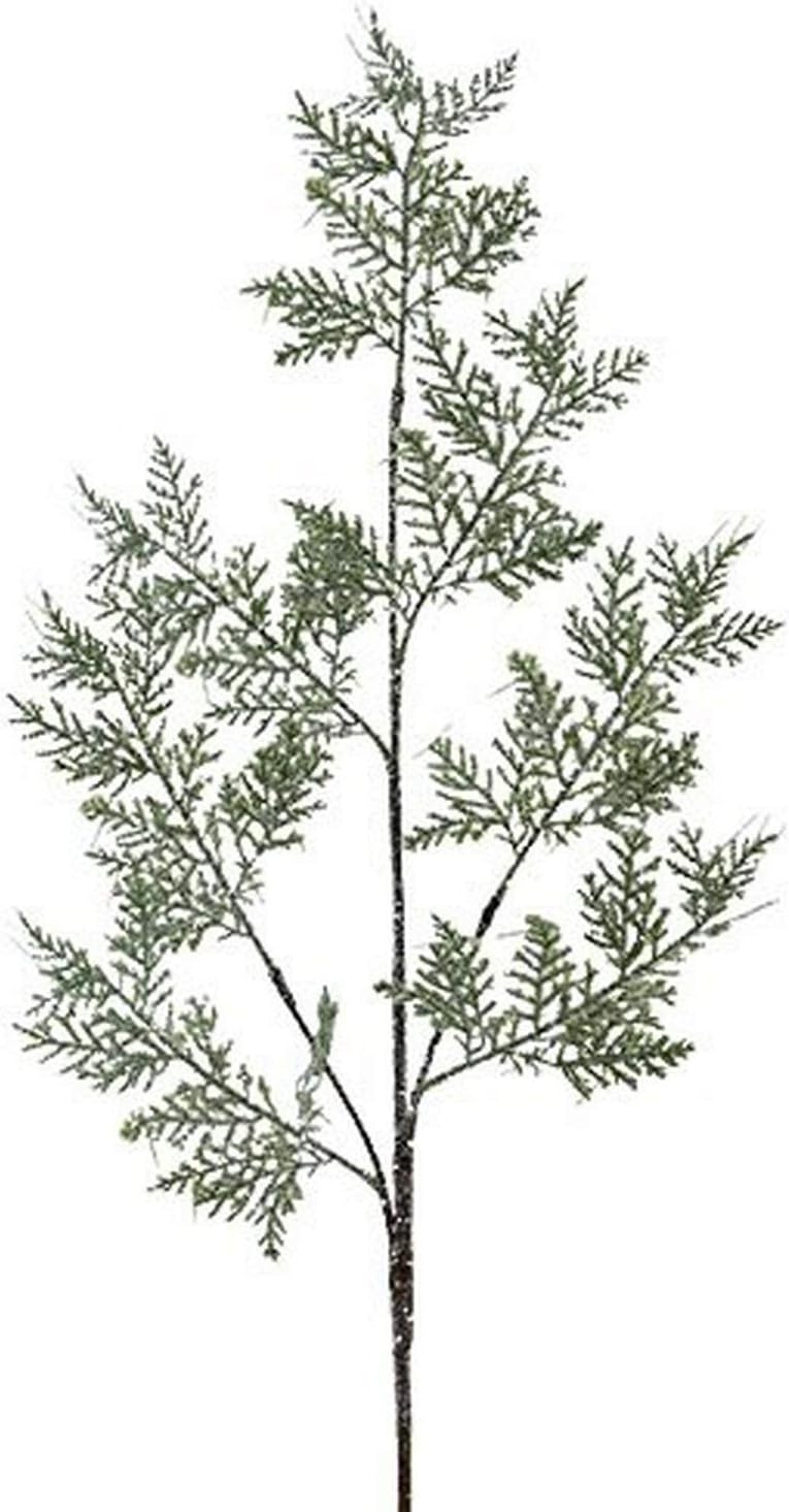Amazon.com: Renaissance 2000 34 inch Frosted Cedar Spray : Home & Kitchen